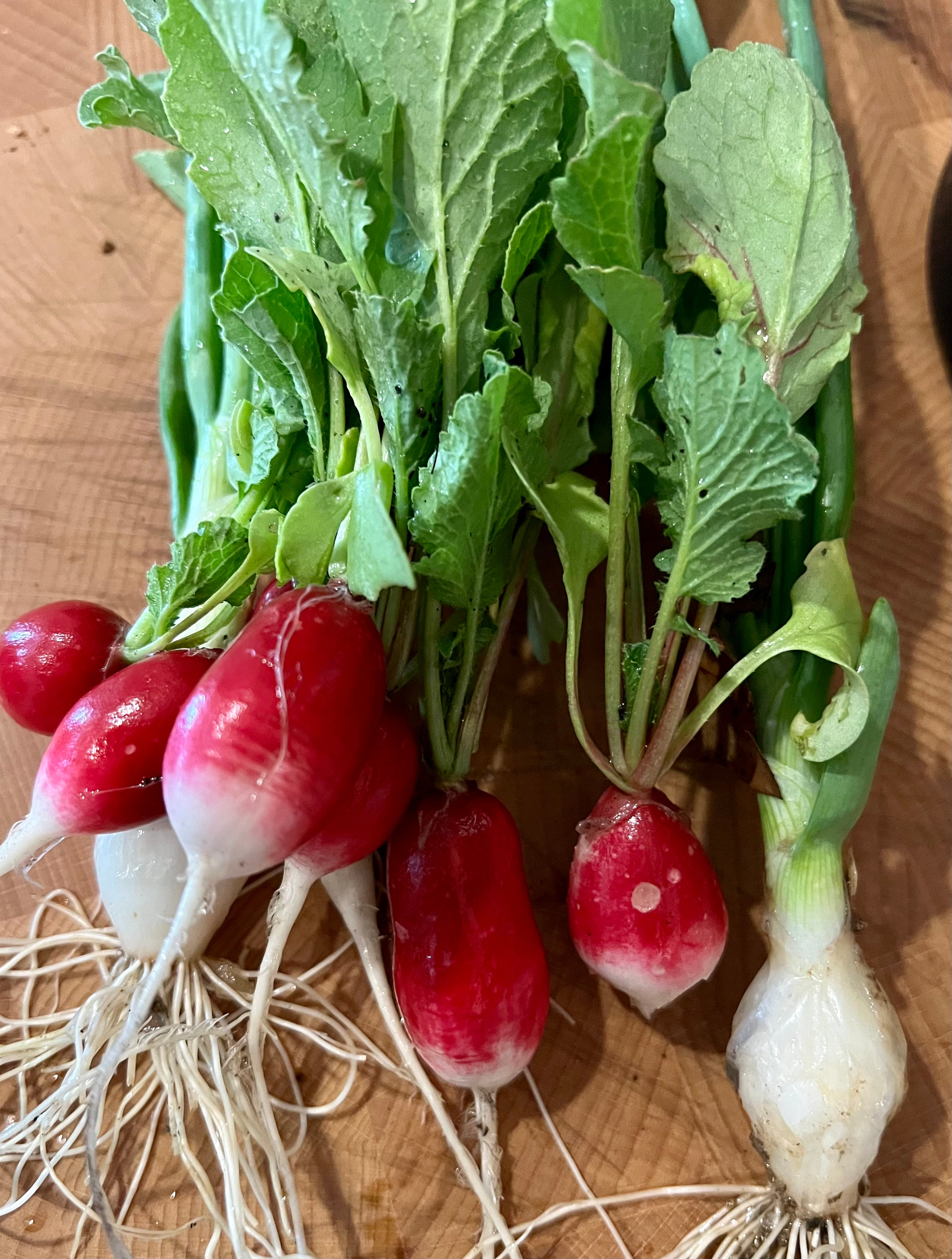 Amber Lake Farm – AmberLakeFarm.com